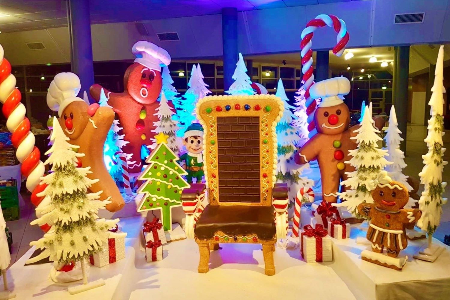 Vitrine - stand photos - hall accueil de Noël